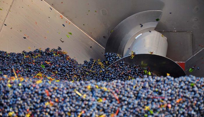 ¿Qué es el mosto y qué diferencias tiene con el vino?