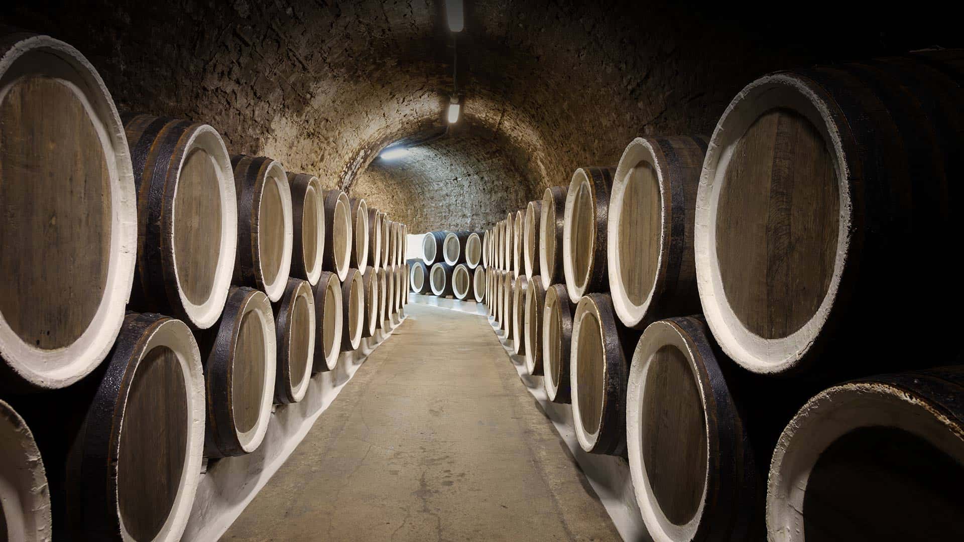 Venerable Capital - Comercialización y Distribución